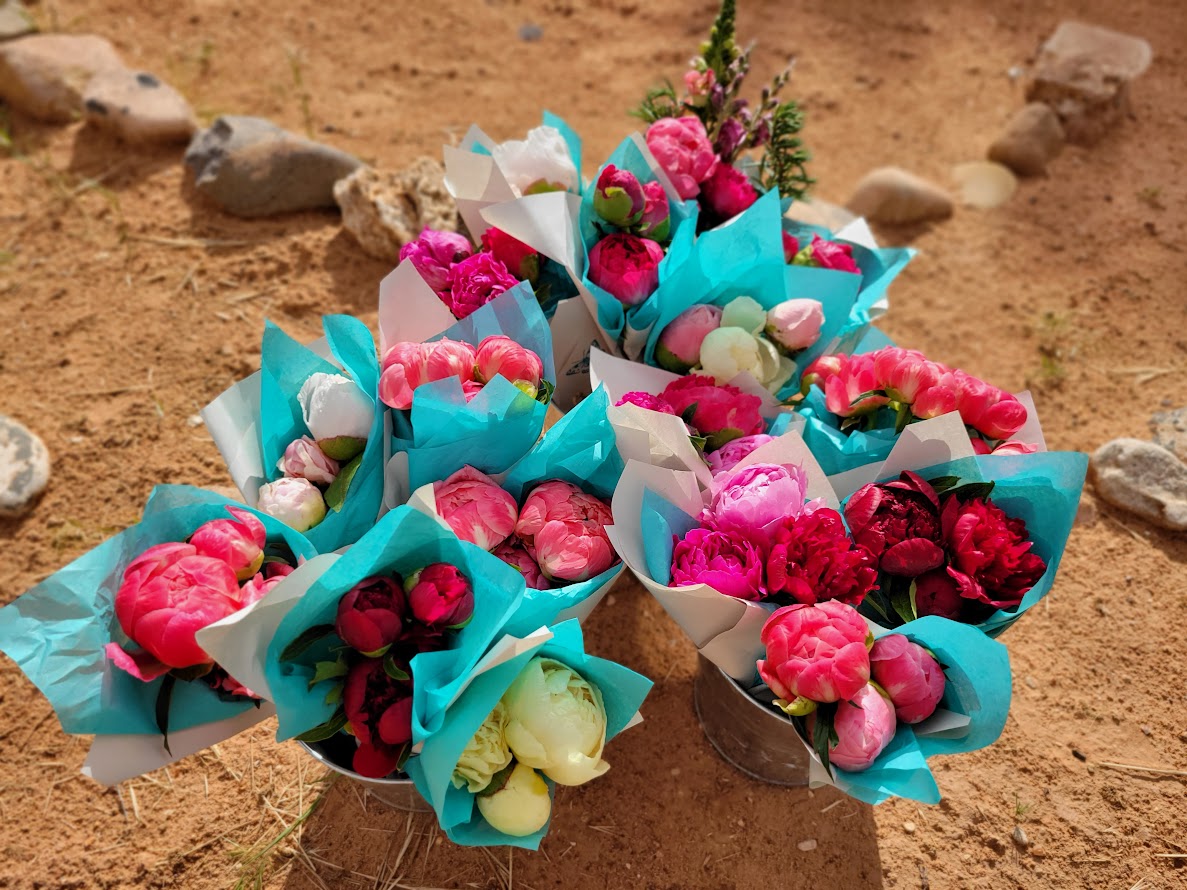 Blue Sky Blooms – Vibrant and beautiful blooms grown with love under ...