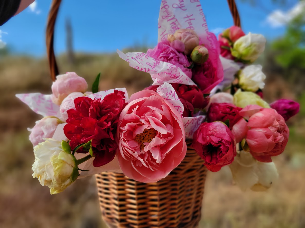 Blue Sky Blooms – Vibrant and beautiful blooms grown with love under ...